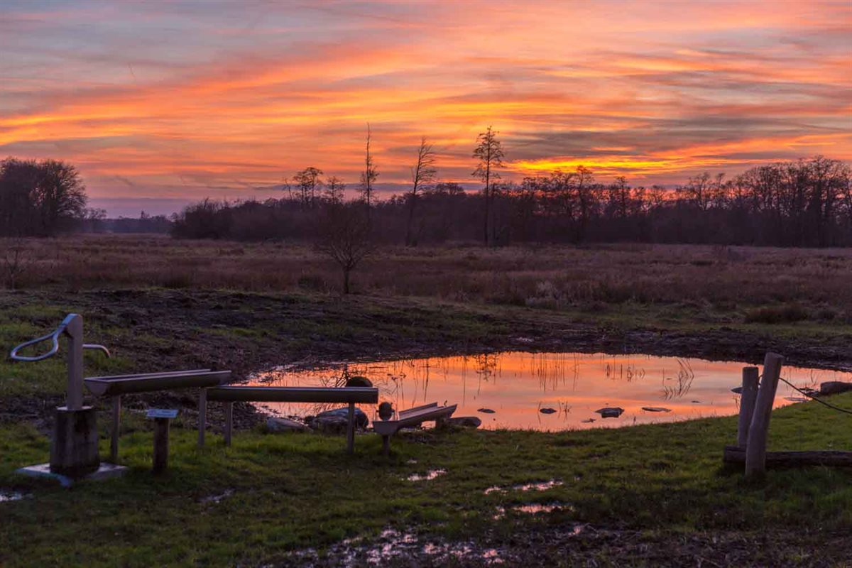Bezoekerscentrum Nationaal Park Drentsche Aa | Nationaal Park Drentsche Aa